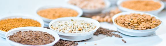 Raw materials, ingredients and additives